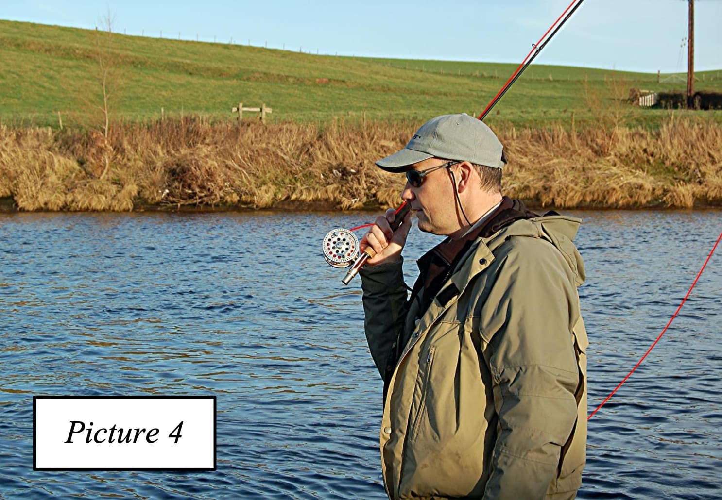 The Basic Roll Cast | AAPGAI