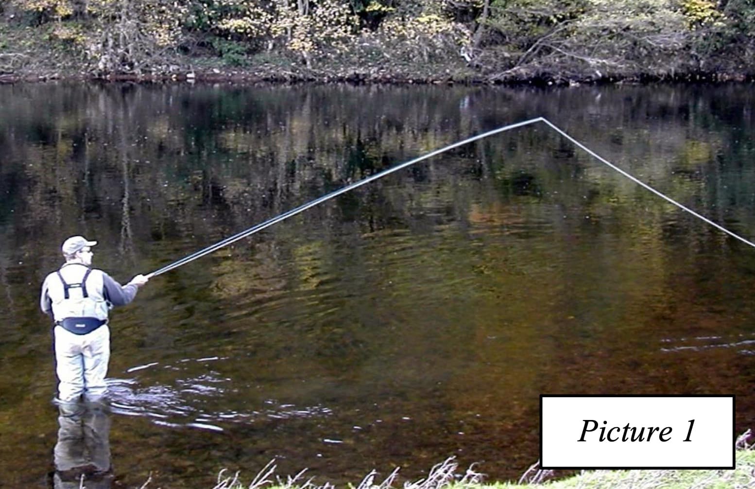 The Snake Roll Cast | AAPGAI