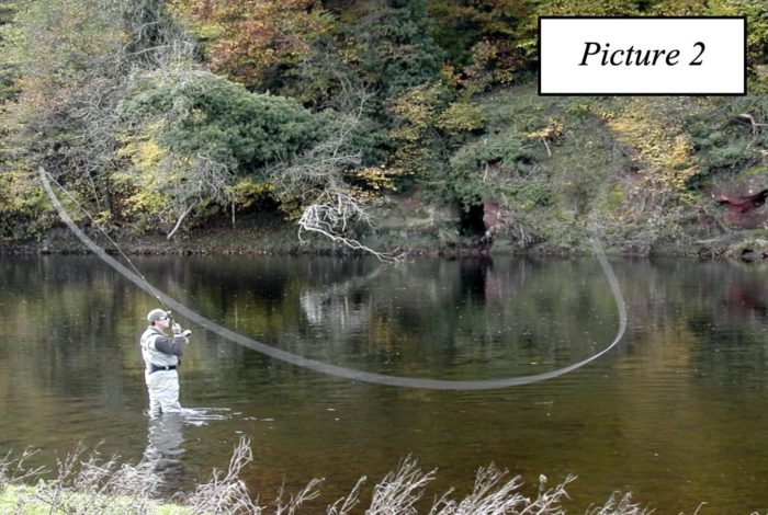 The Snake Roll Cast | AAPGAI