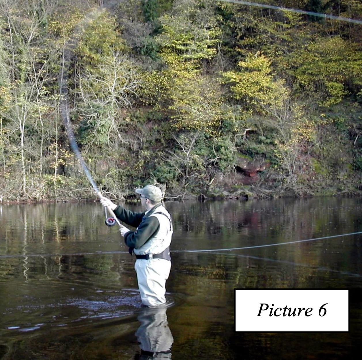 The Snake Roll Cast | AAPGAI